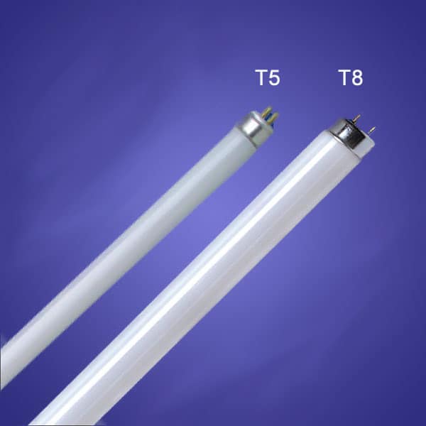 Difference Between T5 And T8 Lighting In Fish Tank Aquariums Tropical